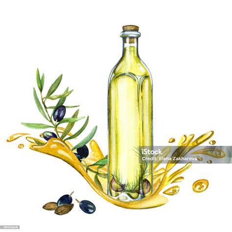 수채화 손 그림 병에 기름 올리브 가지 로즈마리 오일 한 방울 초대장 카드 포장 직물 및 종이를 위한 디자인 0명에 대한 스톡