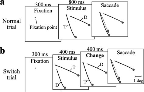 Curve Tracing Task A B Sequence Of Events During Normal A And Download Scientific Diagram
