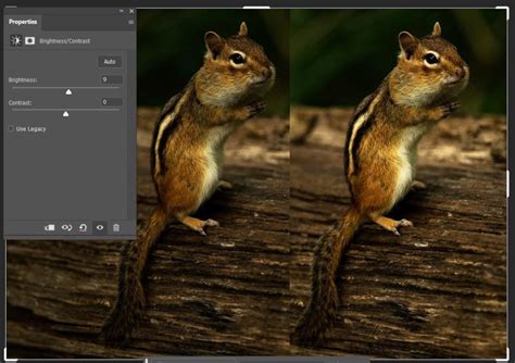 Adjusting Brightness And Contrast For Stunning Images