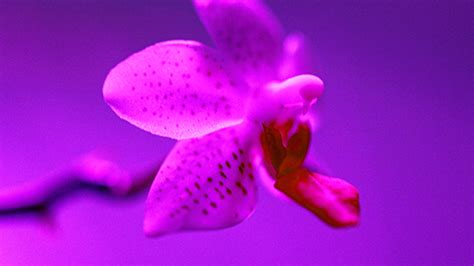 2smart ‑ Engineered Smart Materials For Smart Citizens