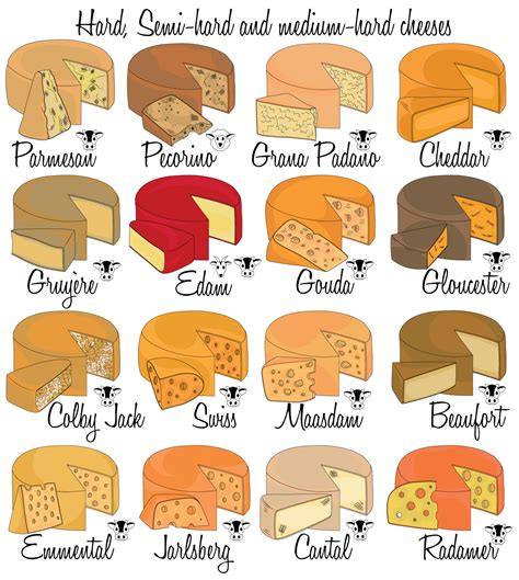 Types Of Cheeses And Description Eqiuwy