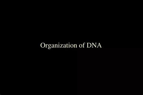 PPT Organization Of DNA PowerPoint Presentation Free Download ID 4433268