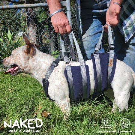 Naked Lift Harness Complete Pet