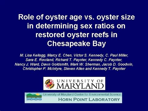 Role Of Oyster Age Vs Oyster Size In