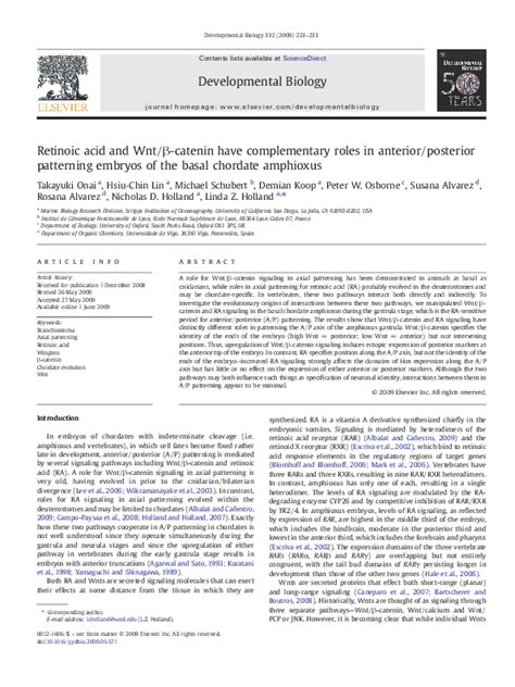pdf retinoic acid and wnt [beta] catenin have complementary roles in