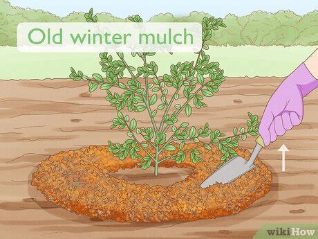 How To Make Your Own Mulch For Gardening Without A Chipper