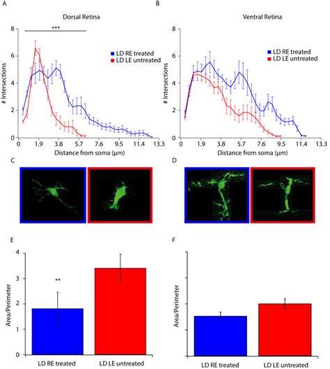 microglial activation is reduced upon cbs treatment a b the number