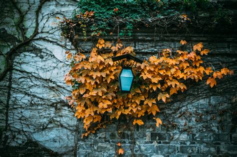fixing ngmodule imports exception in ngmodule class on angular 9