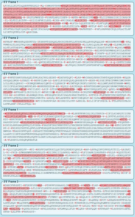 Isoforms Or Genes Supertranscripts · Issue 1113 · Trinityrnaseq Trinityrnaseq · Github