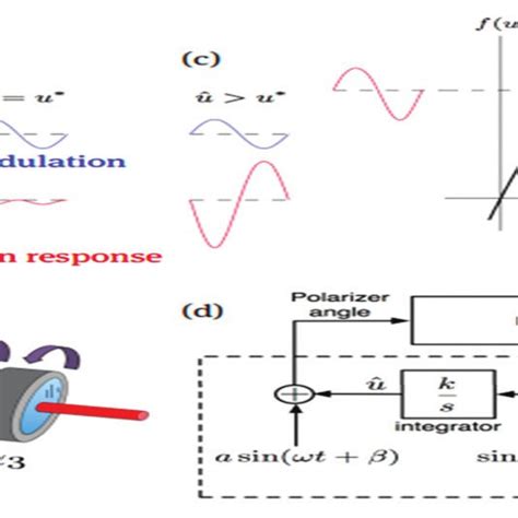 Schematic Diagram For The Polarization Angle Effects Adapted From [13] Download Scientific