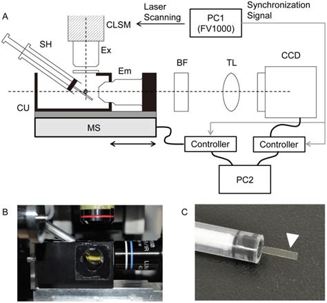 A Side View Of The Instrument Not To Scale Optical Axes Of