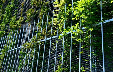 Steel Cladding Of A Building With A Expanded Metal Lattice Structure