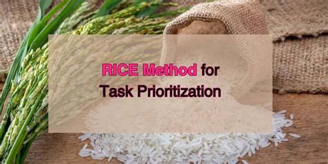 the rice method 4 metrics for task prioritization