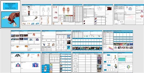 GCSE PE Edexcel 9 1 Complete Component 1 Knowledge Retrieval Revision Mats Updated