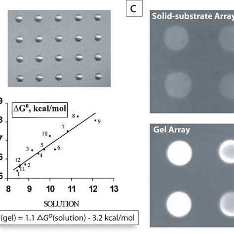 6 Hydrogels Arrays A Bright Field Image Of Hydrogel Based