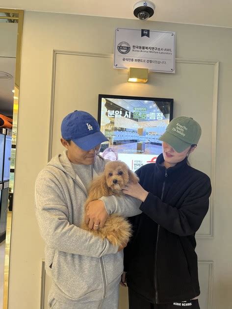 말티푸 덤보 포미분양 포매라니안분양 포메리안분양 치아와분양 말티스분양 푸말티분양 러시아블루분양 포미분가격 포매라니안분양가격 포메리안분양가격 치아와분양가격 말티스분양가격