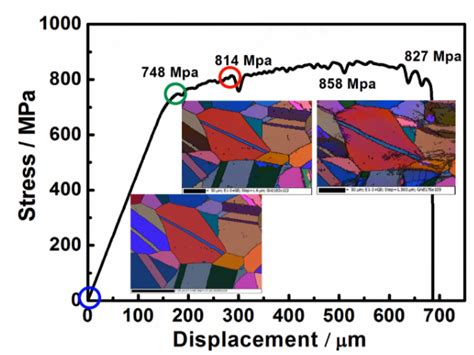 In Situ Electron Backscatter Diffraction Ebsd Analytical Service