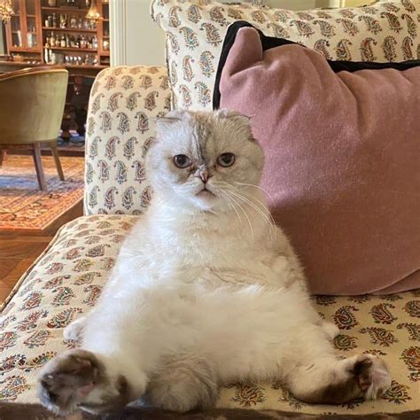 Captain Olivia Benson Off Duty Meredith And Olivia Swift Taylor
