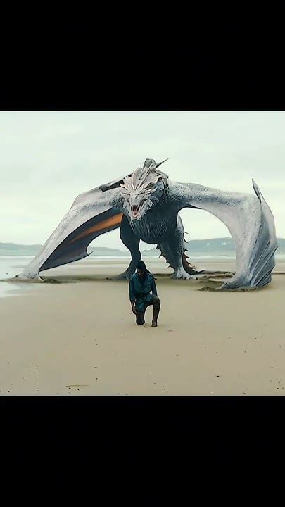 Seasmoke Meet Syrax 🐉 Rhaenyra And Adam House Of The Dragon Syrex