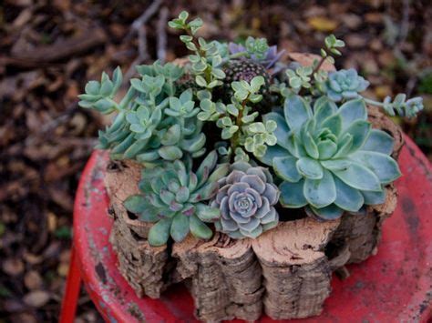 33 Hollow Log Gardening Ideas To Save Today Garden Tree Stump