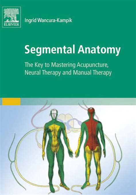 Segmental Anatomy E Book Frohberg
