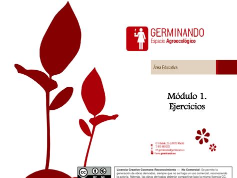 SOLUTION Ejercicios Modulo 1 2021 Studypool