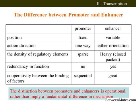 Усилитель и промоутер БИОЛОГИЯ