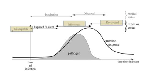 Lecture 4 Flashcards Quizlet Lecture 4 Flashcards Quizlet