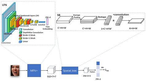 A Lightweight Model Enhancing Facial Expression Recognition With Spatial Bias And Cosine Harmony