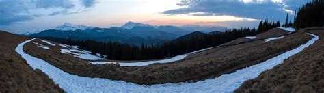 카 르 파 티아 산맥에서의 아름 다운 봄 일몰 파노라마입니다 마른 잔디 눈 투명 한 신선한 공기 조밀한 상록 숲 및 먼 눈 덮인 산 범위 부드러운 태양 빛 골짜기 0명에