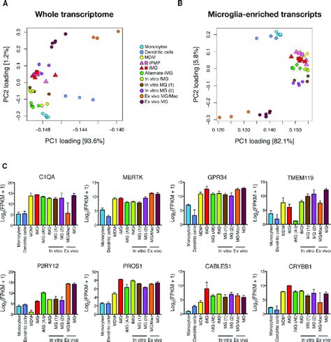 The Transcriptome Of Human Stem Cell Derived Microglia Is Similar To