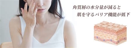イミニ 公式サイト 乾燥肌のかゆみが起こるメカニズム｜原因や改善方法について解説