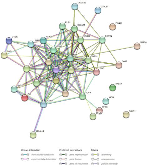 String Generated Interaction Occurrence Between Differently Expressed Download Scientific