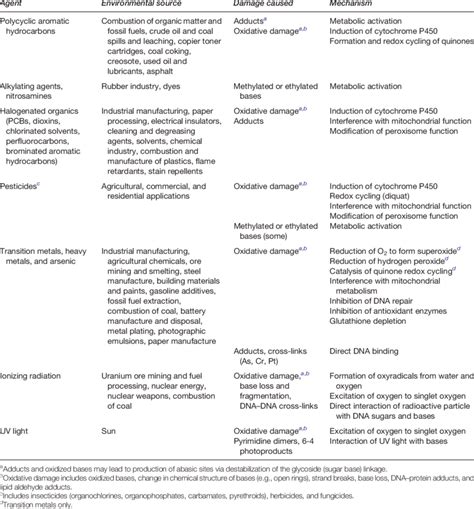 Examples Of Common Mutagenic And Genotoxic Chemicals Their Sources In Download Table