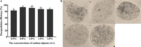 Preparation Of Trichoderma Asperellum Microcapsules And Biocontrol Of