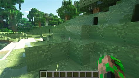 Weird Shader Texture Bug Rminecraft