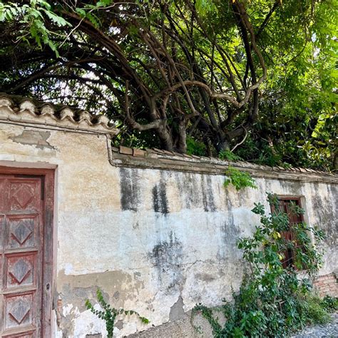 ‎drone No 2 5th Of August 2024 Ep Album By Jonas Hasselgren Apple Music