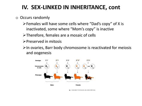 UNIT VI MENDELIAN GENETICS Ppt Download