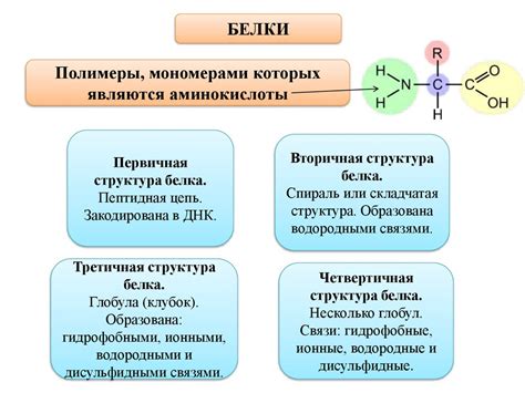 Химический состав клетки Строение клетки презентация онлайн