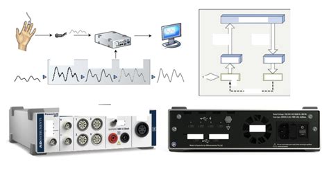 Lab Tutor Labeling Study Diagram Quizlet