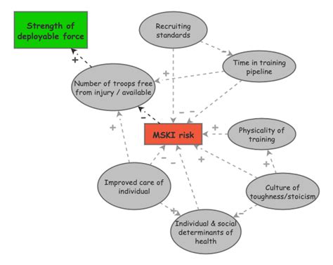 Clone Of Systems Approach To Mski Risk Insight Maker