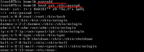 리눅스 Useradd 명령어 Usermod Userdel Passwd 명령어