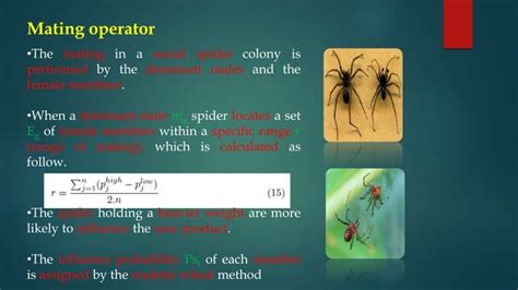 Social Spider Optimization Sso Pptx