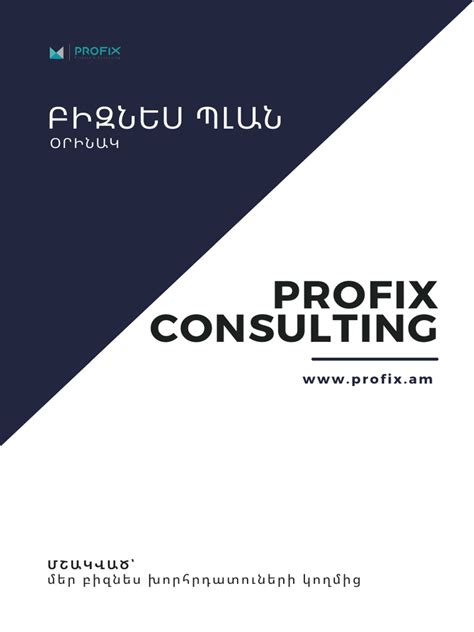Բիզնես պլանի օրինակ Profix Consulting Pdf