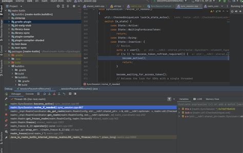sync session is resumed without explicitly calling `resume` · issue 6085 · realm realm core