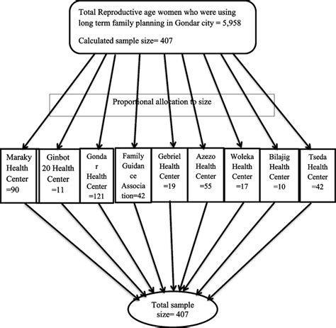 Schematic Presentation Showing The Sampling Procedure And Proportional Download Scientific