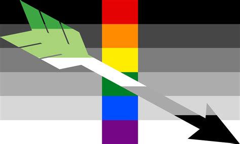 Heteroflexible Aromantic Combo Flag By Pride Flags On Deviantart