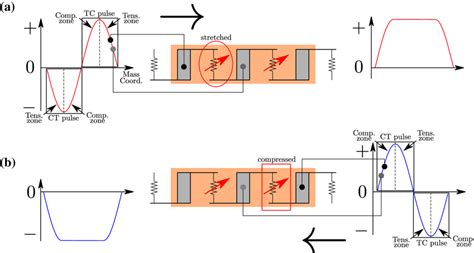 Nonreciprocal Wave Propagation In An Asymmetric Bilinear Chain A And B Download Scientific