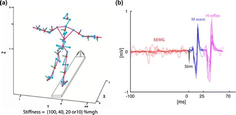 A Kinematic Model Used To Assess Balance Performance During The