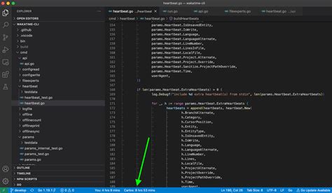 the currently focused file s expert wakatime